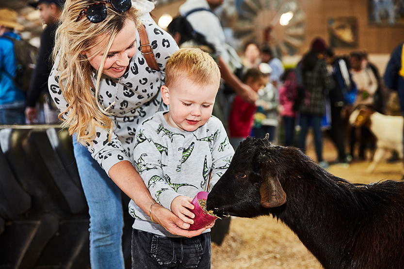 Royal Melbourne Show returns with animals, attractions, and family fun ...